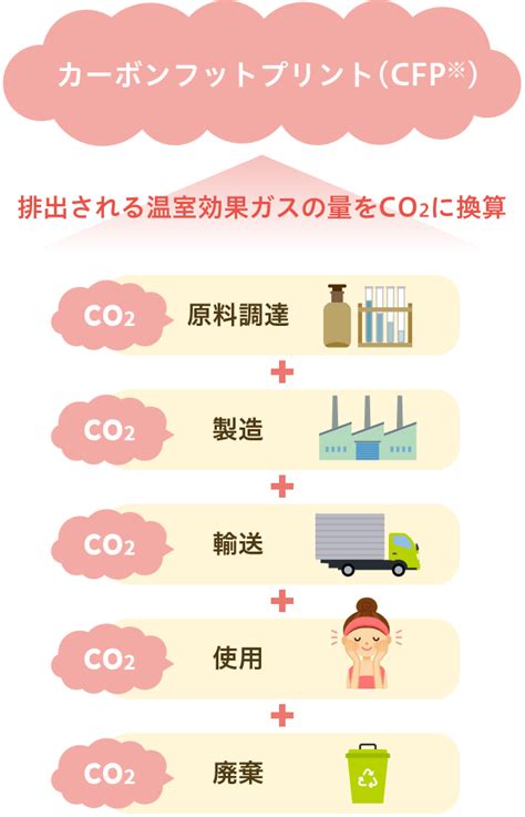カーボンニュートラルに向けて ちふれホールディングス株式会社