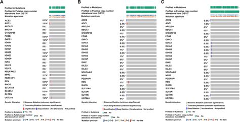 Mutation Information Of The Genes Ac The Mutation Frequencies Of 26