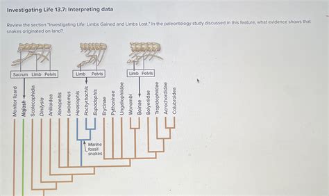 Solved Investigating Life 13 7 Interpreting DataReview The Chegg