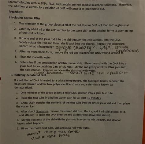 Solved Macromolecules Such As Dna Rna And Protein Are Not