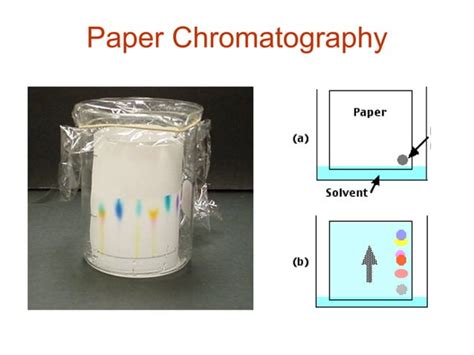 Planar Chromatography Ppt Chemistry Science