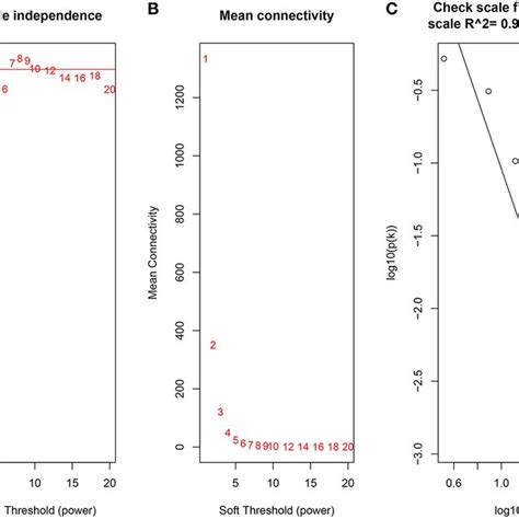 Determination Of Soft Thresholding Power In The Wgcna A Analysis Of