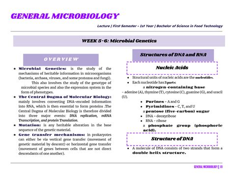 Topic 4 Microbial Genetics Lec Lecture First Semester 1st Year Bachelor Of Science In