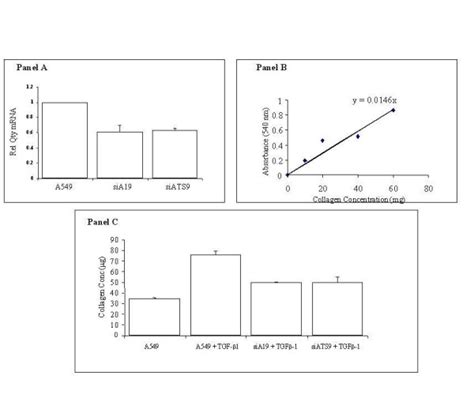 Adam 19 And Adamts9 Gene Knockdown Abrogate Tgf β1 Induced Collaged