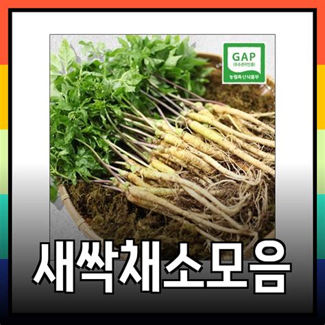 새싹모듬원우바이오의 다양한 새싹채소를 소개합니다