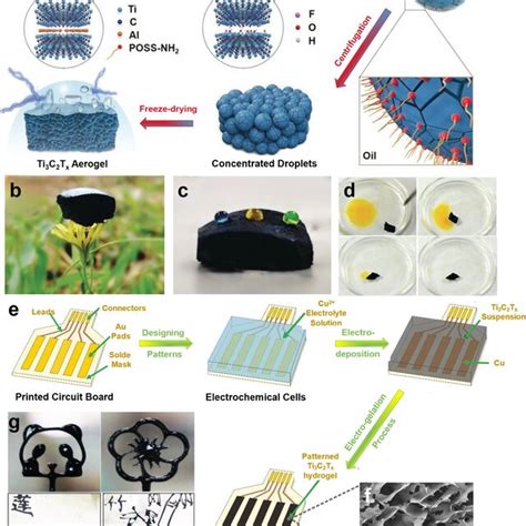 A Schematic Illustration Of Interfacial Co Assembly And Jamming Of Ti