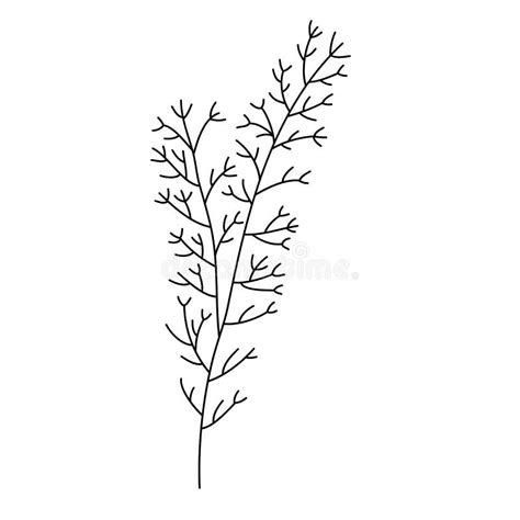 线花矢量图极简线设计野植物矢量图 向量例证 插画 包括有 花卉 草本 简单 图象 查出 婚礼 259998607