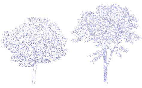 Landscaping Tree Elevation Detail 2d View Autocad File