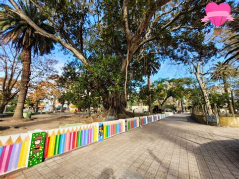 O Que Fazer Em Rio Grande Tour Pela Cidade Mais Antiga Do Rsdiário De