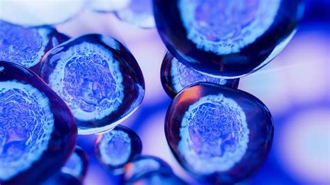 Scientists Unlock Trigger For Cellular Recycling Technology Networks