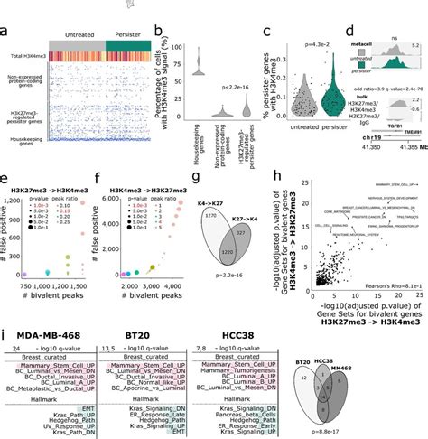 Analysis Of H3K4me3 And H3K4me3 H3K27me3 Enrichment In Untreated