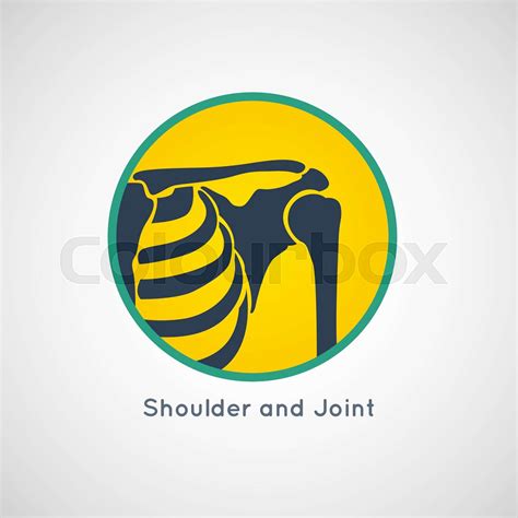 Shoulder And Joint Vector Stock Vector Colourbox