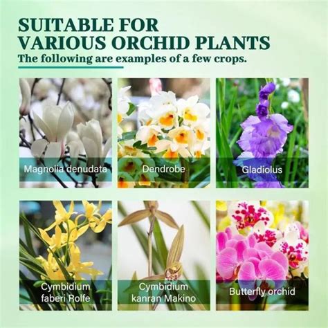 【bestseller】 Orchids Concentrated Nutrient Solution Orchid Fertilizer