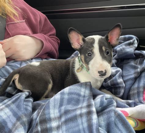 Groot Has Grown Up Way Too Quickly🥺 But Now At Least He Has A Little