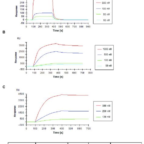 Spr Analysis Of Peptides Binding To A Double Stranded Oligonucleotide