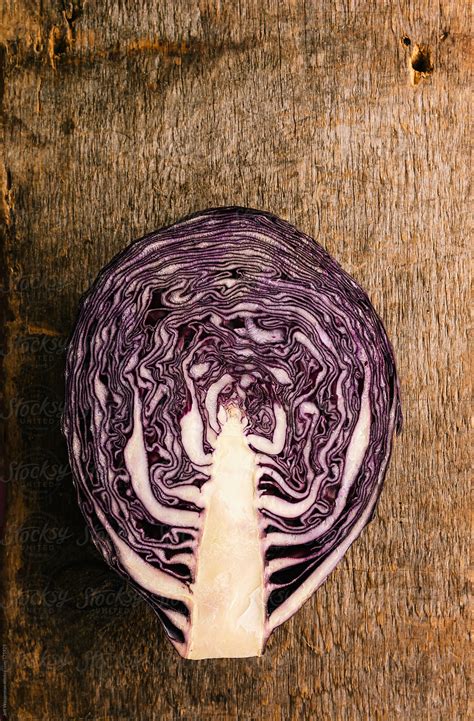 organic red cabbage by stocksy contributor jeff wasserman stocksy