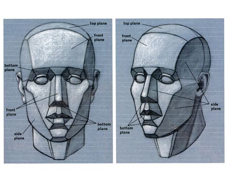 Artist S Referencing Anatomy Artofit