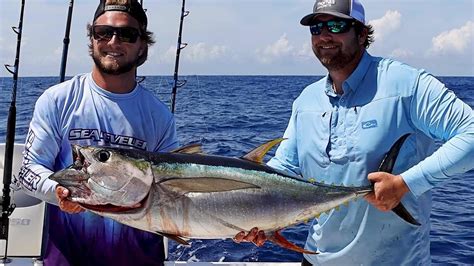 Yellowfin Tuna Fishing - YouTube