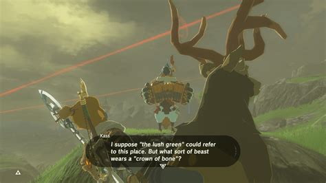 Take A Wild Guess Kass Botw Zelda