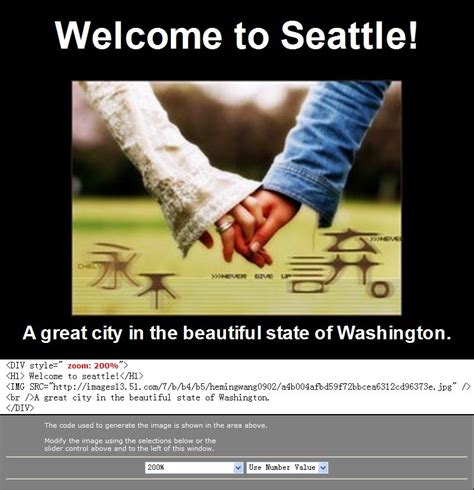 Javascript控制网页缩放仅对ie有效js 调整ie浏览器缩放 Csdn博客