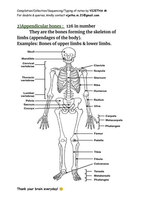 Solution Classification Of Bones Studypool