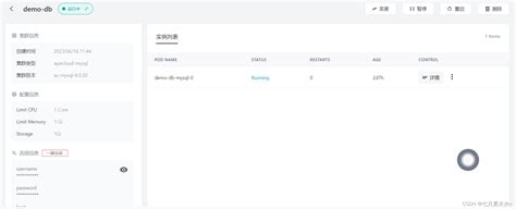 如何在 sealos 上运行你的第一份 python 代码 sealos部署python csdn博客