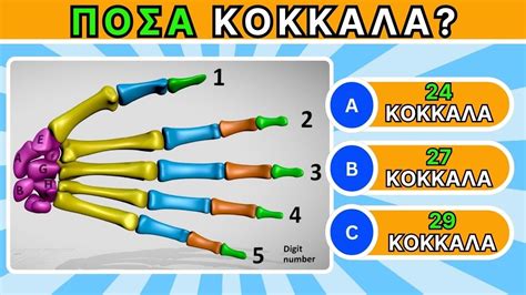 Quiz Για Το Ανθρωπινο Σωμα 25 Ερωτησεις Μαντεψε Την Σωστη Απαντηση