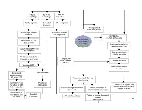 Schematic Pathophysiology Cva