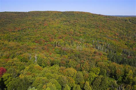 植被高清摄影大图 千库网