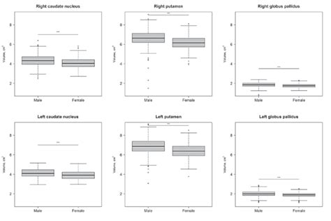 Boxplots Of Volumetric Data By Gender Download Scientific Diagram