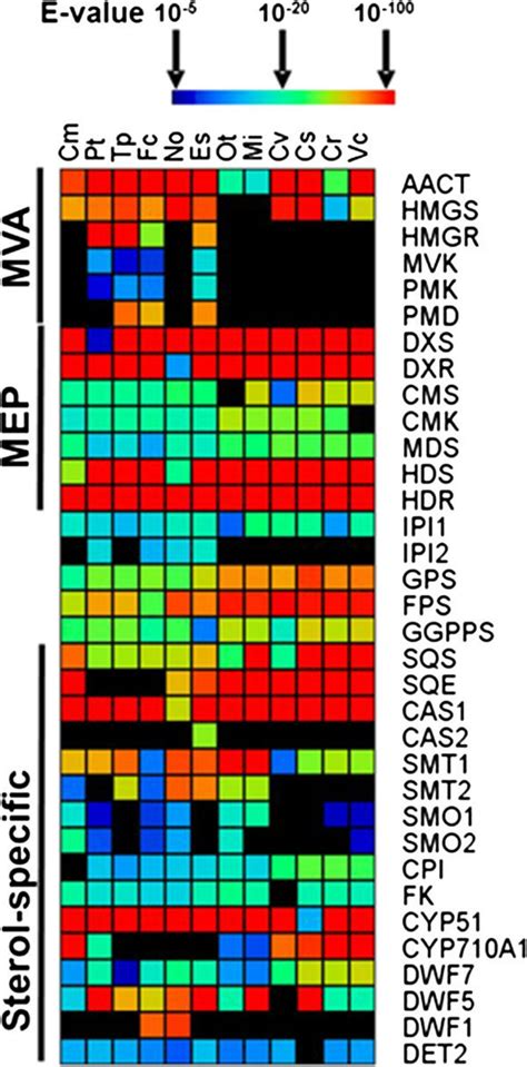 Conservation Of Sterol Biosynthetic Genes In Eukaryotic Algae The