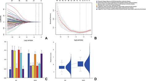 Radiomic Feature Selection By Using A Parametric Method The Lasso A