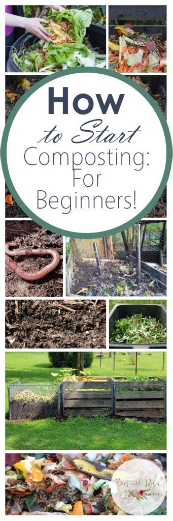 How To Start Composting For Beginners Bees And Roses