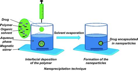 Nanoprecipitation Process From Particle Preparation To In Vivo
