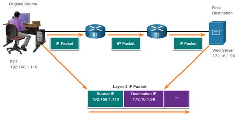 CCNA 1 V7 0 Curriculum Module 3 Protocols And Models