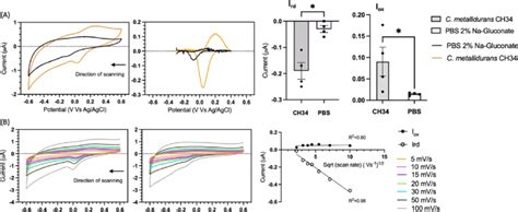 Cyclic Voltammetry Experiments Of C Metallidurans Ch Grown On Spces Download Scientific