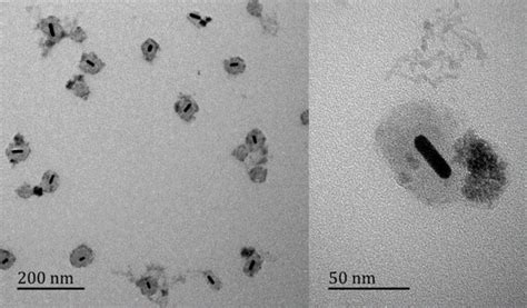 石墨烯 碳纳米管 纳米金包覆fe3o4空心球纳米复合材料 知乎