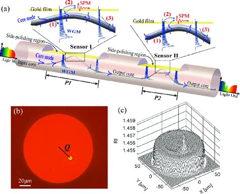 Cascaded Hcf Spr Sensor A Working Principle Of Spr Sensing P 1 And Download Scientific