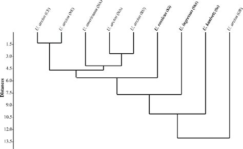 Hierarchical Clustering Diagram Based On Five Microwear Variables Download Scientific Diagram