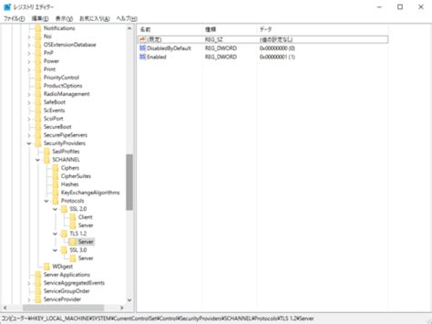 Iisで Tls 12を有効にする 新・かみひろぐ