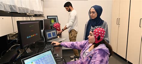 Phd In Biosciences And Bioengineering American University Of Sharjah