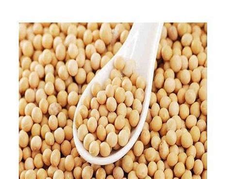 Non Gmo Soybeansorganic Soybeansyellow Soybeansnon Gmo Soybeans