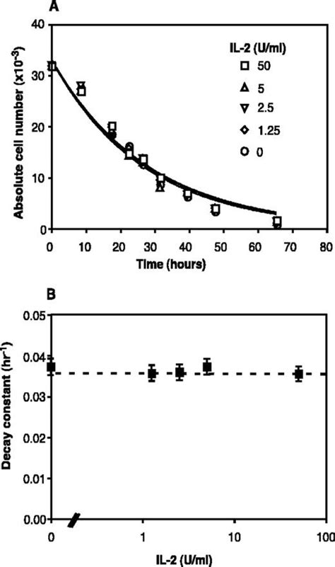 Stochastic Model Of T Cell Proliferation A Calculus Revealing Il 2