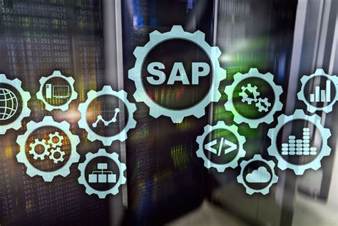 Optimise SAP Data Entry Precision Efficiency