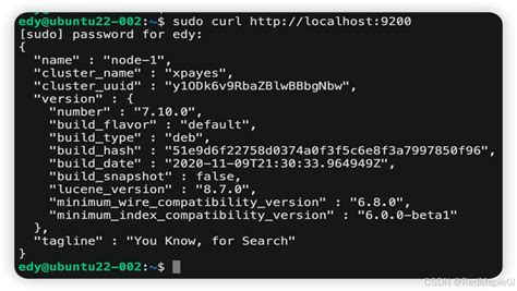Ubuntu 2204 安装部署elasticsearch 7100详细教程ubuntu 安装elasticsearch Csdn博客