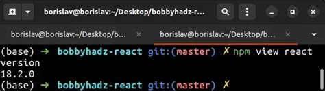 How To List All Versions Of An Npm Package Bobbyhadz