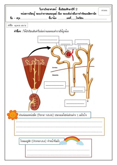 แบ่งปัน Science Teaching แบ่งปัน Science Teaching Media