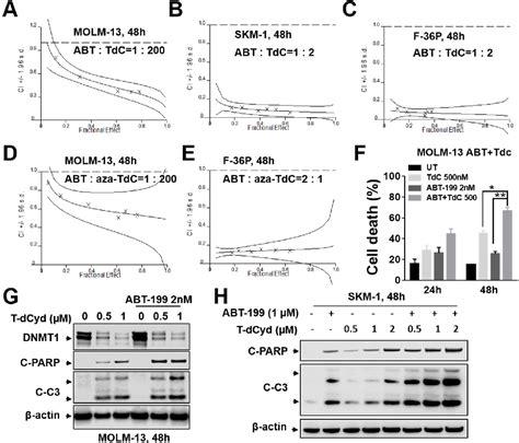 Figure 1 From Synergistic Interactions Between The Hypomethylating Agent Thio Deoxycytidine And