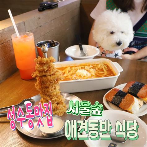 서울숲 애견동반 식당 성수동 디타워 띠또분식 튀김 맛집 방문후기 네이버 블로그