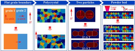 Non Isothermal Phase Field Modeling And Simulation Of Microstructure Evolution In Magnetic Field
